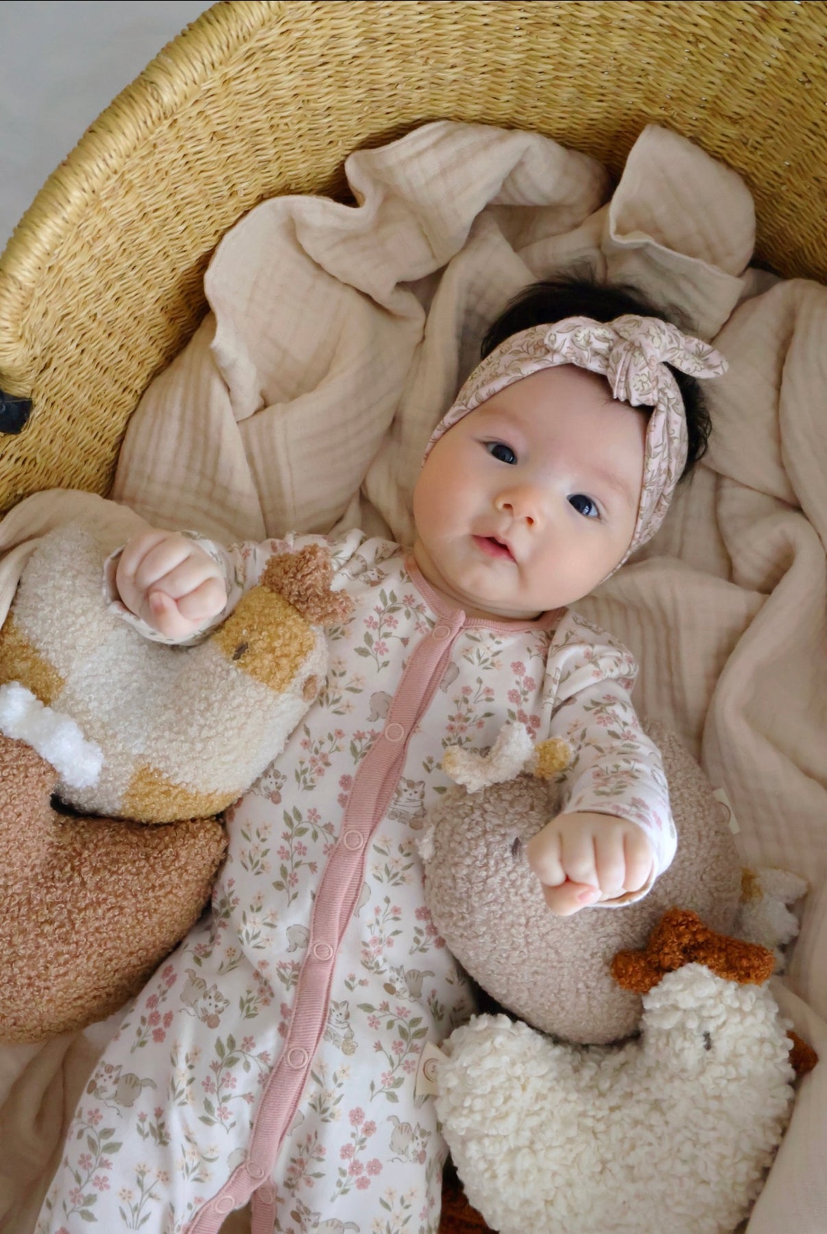Boucle' cuddle chickens – Emma Rose by Emily